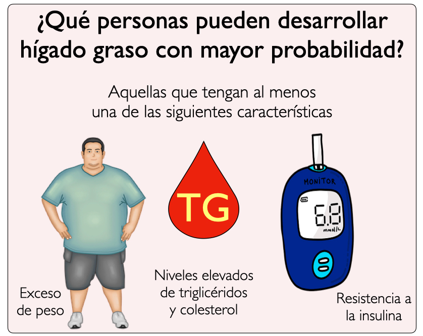 Artículo: Todo lo que necesita saber sobre el hígado graso – Farmacia ...