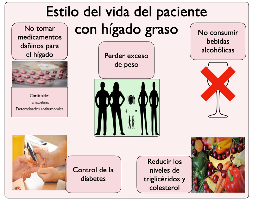 Artículo: Todo lo que necesita saber sobre el hígado graso – Farmacia ...